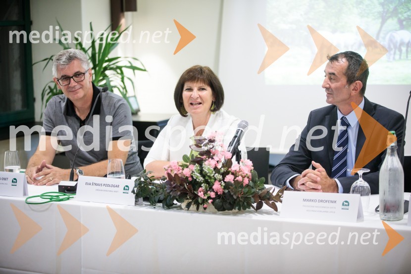 Mediaspeed - Vodenje Holdinga Kobilarna Lipica bo 3. septembra prevzel ...