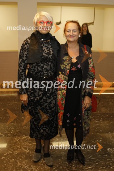 Mediaspeed - Rajzefiber premiera, Slovensko ljudsko gledališče Celje