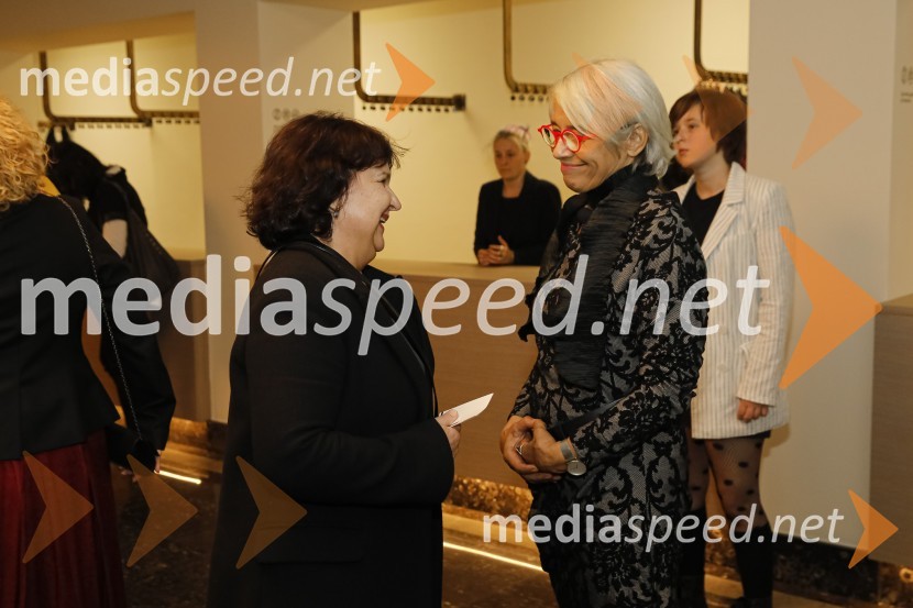 Mediaspeed - Rajzefiber premiera, Slovensko ljudsko gledališče Celje