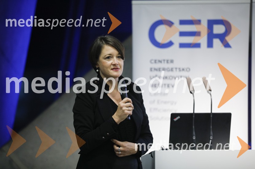 Mediaspeed - Zeleni voditelji prihodnosti. predavanje in delavnica