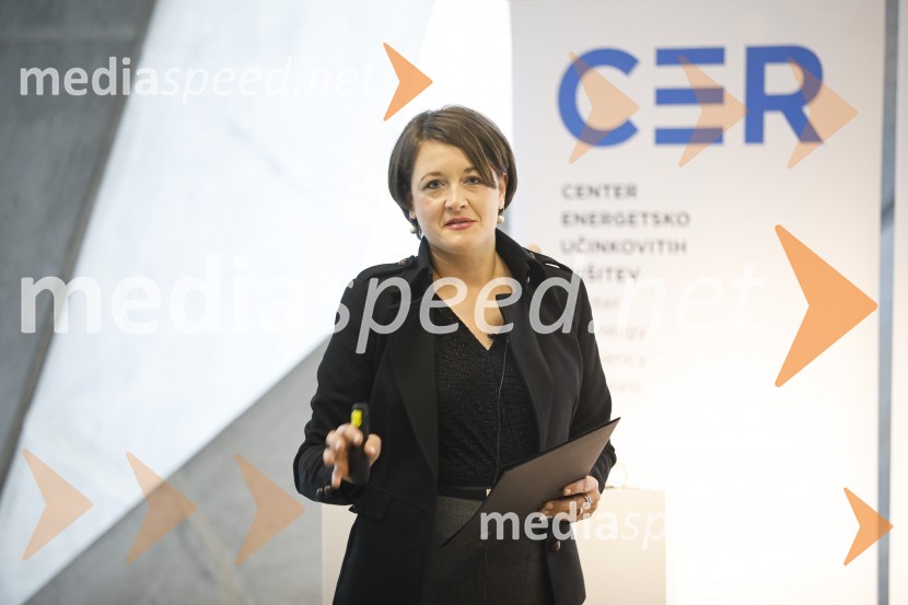 Mediaspeed - Zeleni voditelji prihodnosti. predavanje in delavnica