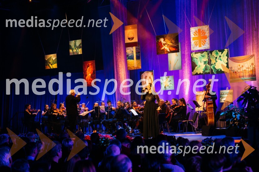 Mediaspeed - Klic dobrote 2019, dobrodelni koncert