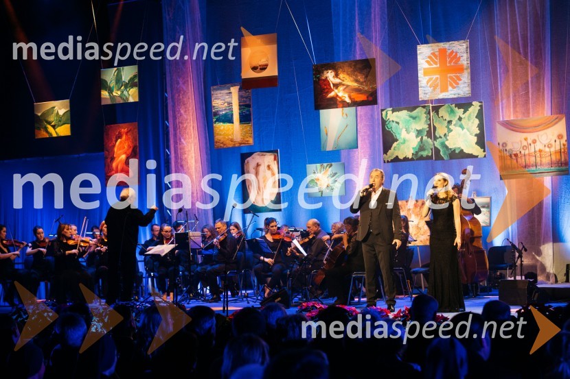 Mediaspeed - Klic dobrote 2019, dobrodelni koncert
