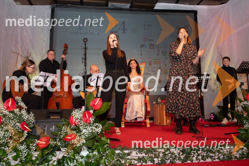 Mediaspeed - 24. Vinska kraljica Slovenije je Ana Pavlin