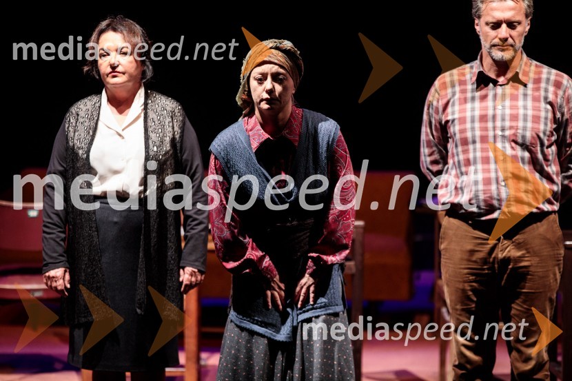 Mediaspeed - Jugoslavija, moja dežela, krstna uprizoritev drame